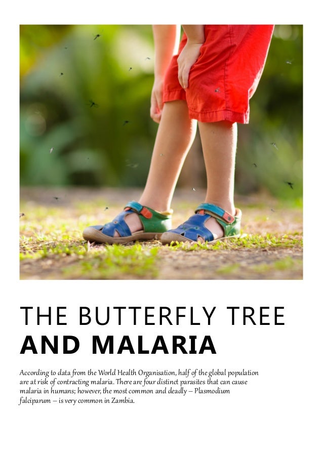 The Butterfly Tree and Malaria | PDF