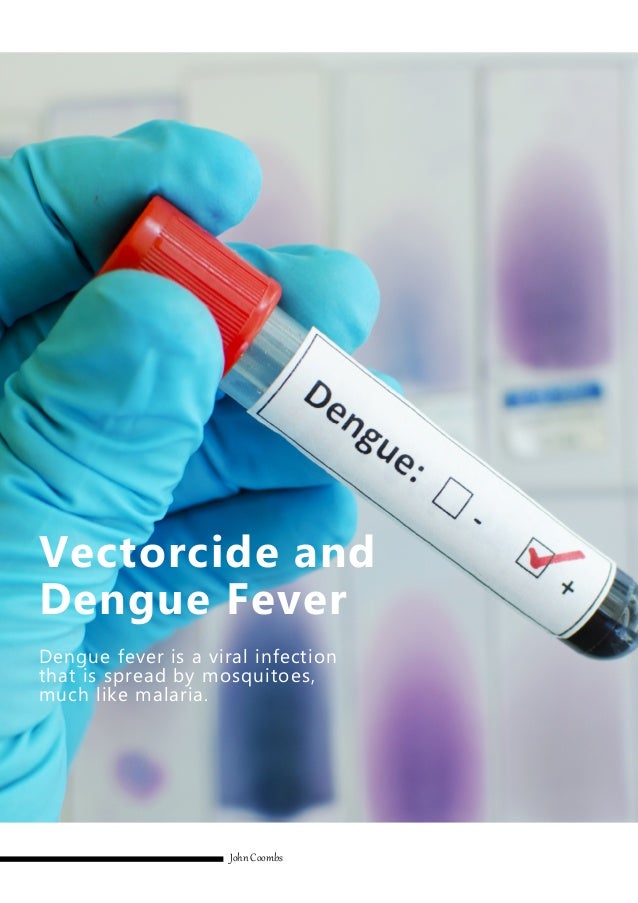 Vectorcide and Dengue Fever | PDF