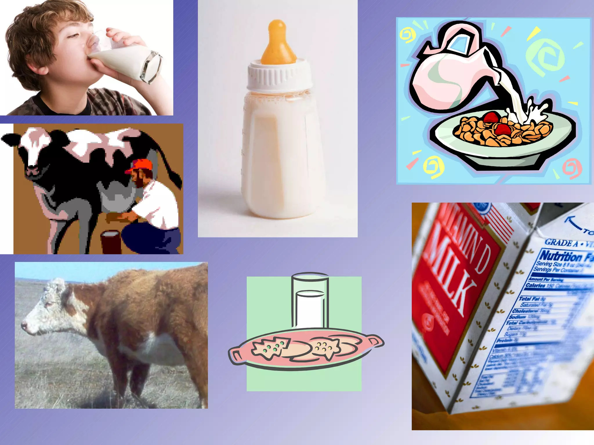 Johnes and crohns disease | PPT