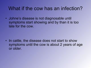 Johnes and crohns disease | PPT