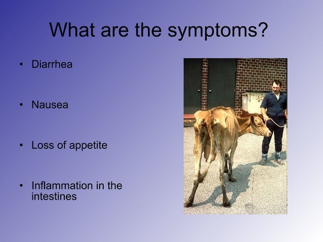 Johnes and crohns disease | PPT | Digestive Disorders | Diseases and ...