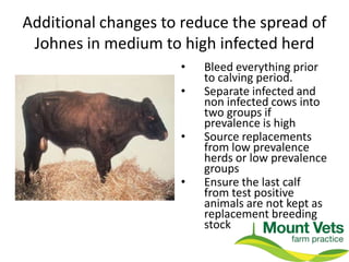 Johnes disease beef farm walk presentation | PPTX | Infectious Diseases ...