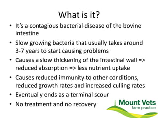 Johnes disease beef farm walk presentation | PPTX