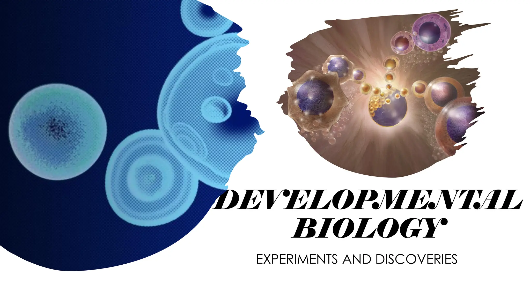 JOHN GURDON - Nobel laureate and developmental biologist | PDF
