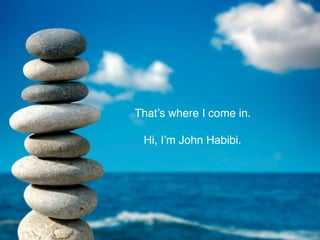 So, What Does John Habibi Do Anyway? | PDF