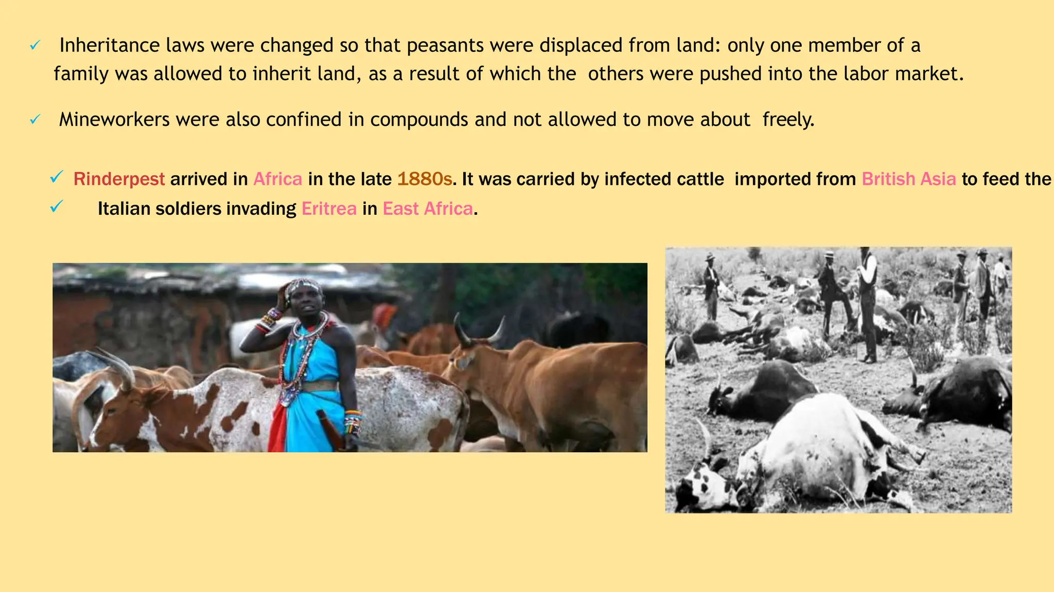 History - Class 10 - Making a Global World - Inter disciplinary project ...