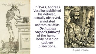 Teaching Anatomy with Human Cadavers | PPTX | Medical Tests | Medical ...