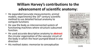 Teaching Anatomy with Human Cadavers | PPTX