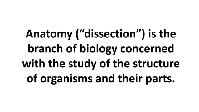 Teaching Anatomy with Human Cadavers | PPTX | Medical Tests | Medical ...