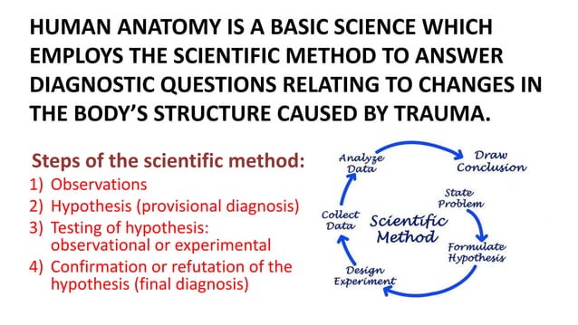 Teaching Anatomy with Human Cadavers | PPTX | Medical Tests | Medical ...