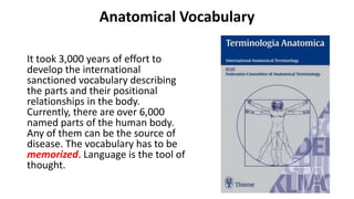 Teaching Anatomy with Human Cadavers | PPTX | Medical Tests | Medical ...