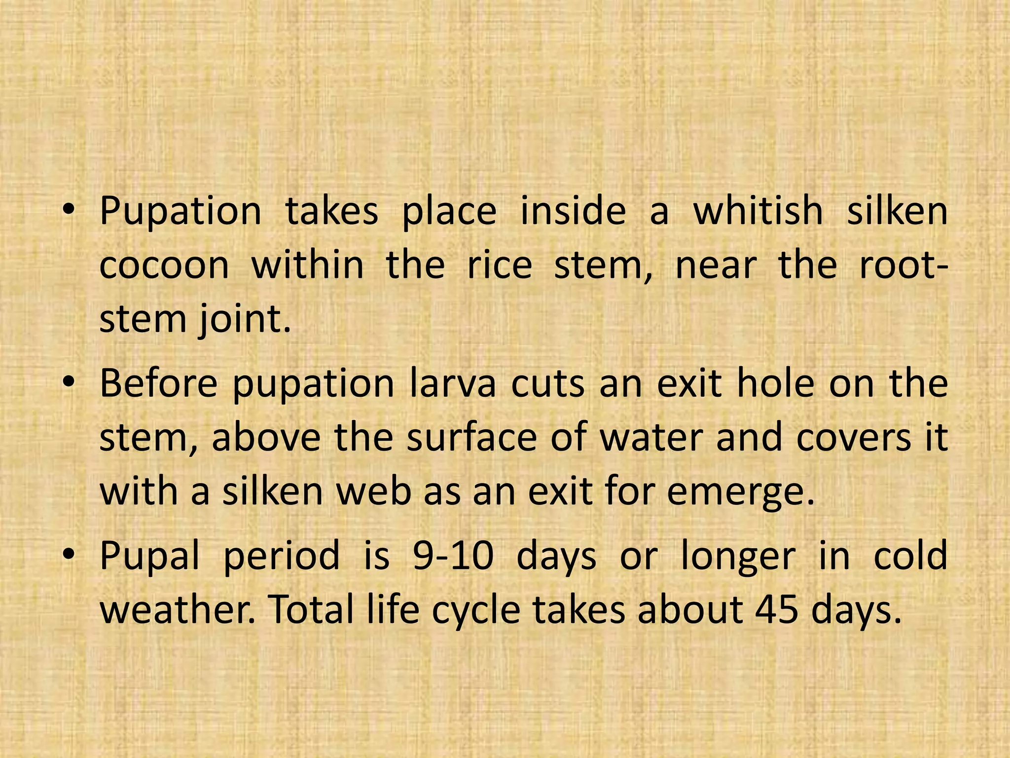 pests of lepidopteran | PPTX