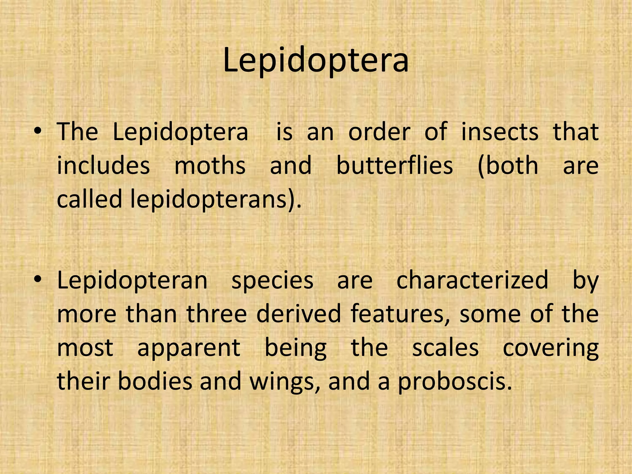 pests of lepidopteran | PPTX