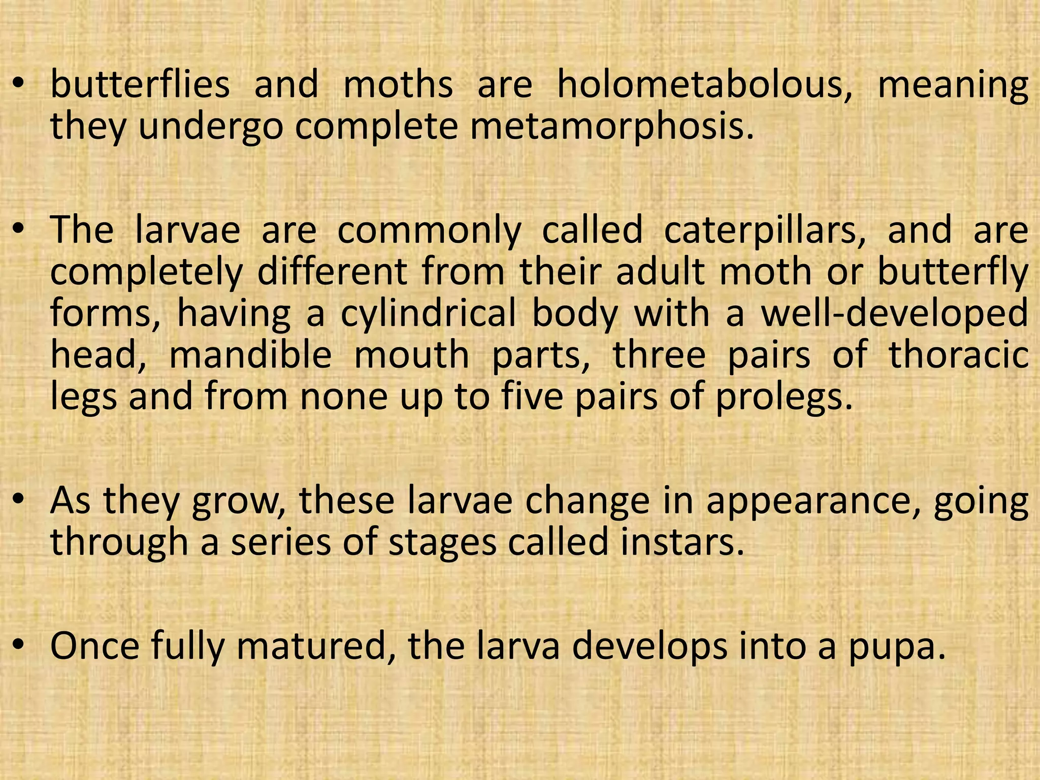 pests of lepidopteran | PPTX