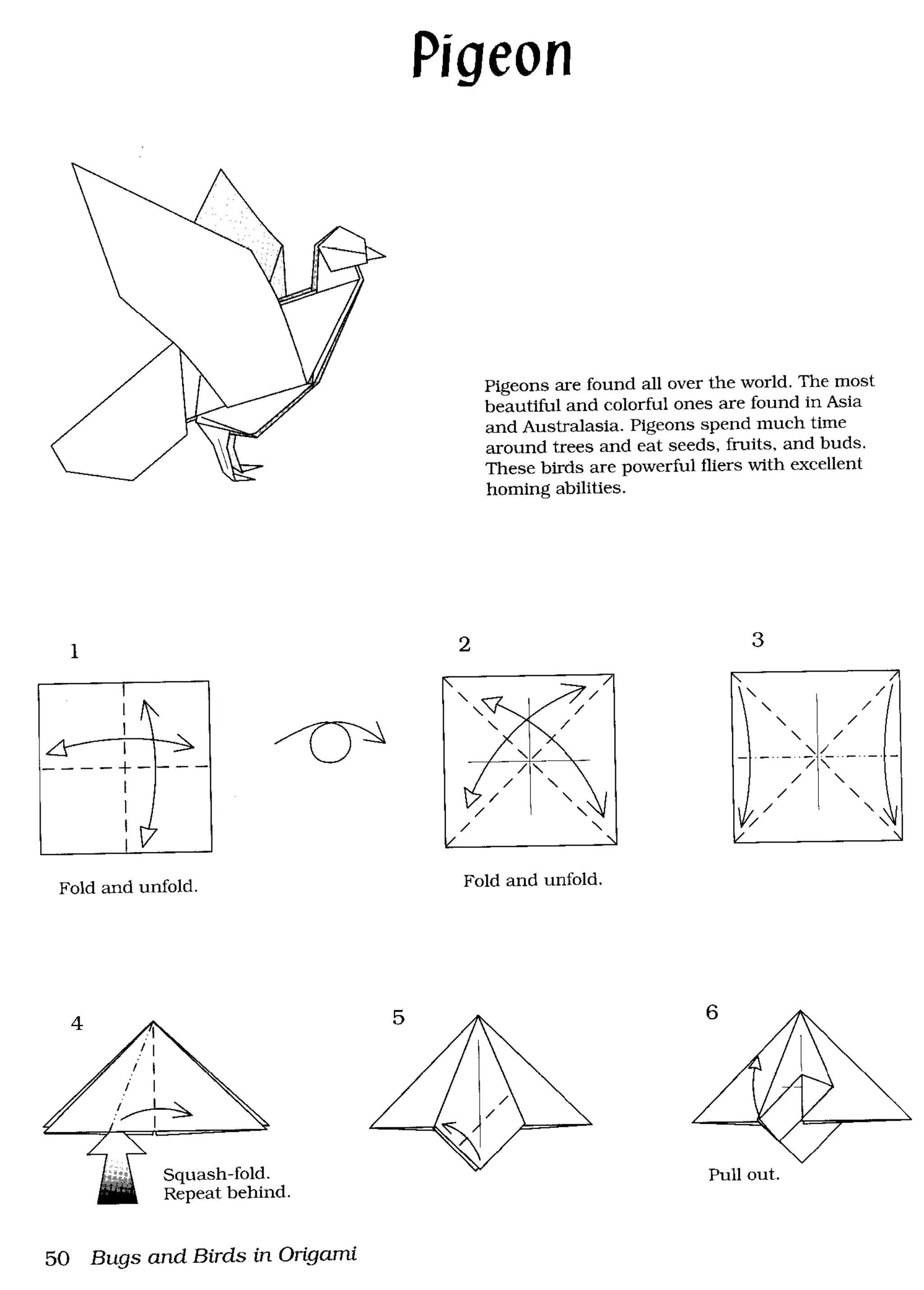 John Montroll Bugs And Birds In Origami Pdf