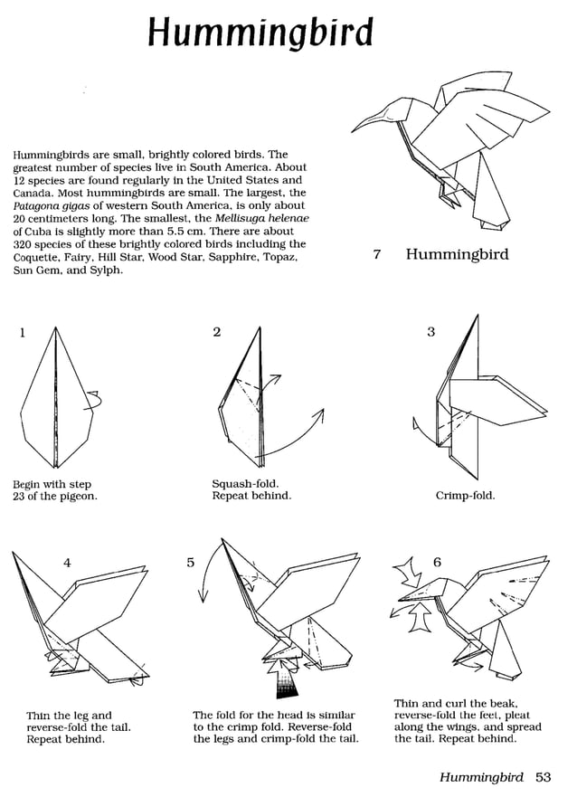 John montroll bugs and birds in origami | PDF
