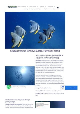 Explore Johnny’s Gorge Dive Site on Havelock Island | PDF