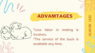 DIFFERENT MATING SYSTEM OF GOAT (NATURAL WAY) | PDF