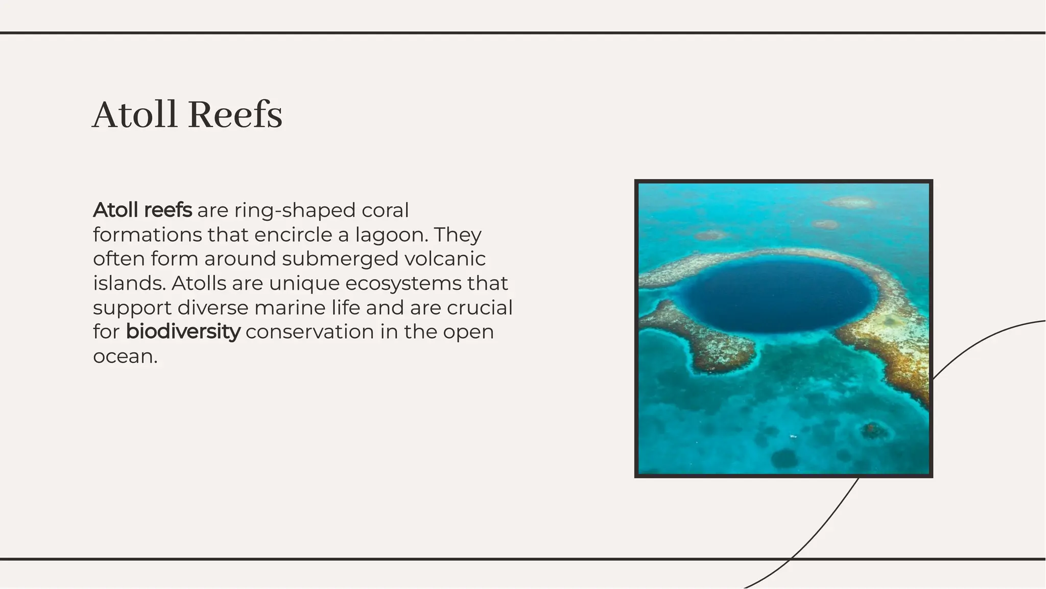 coral reef ecosystem and types of coral reefs | PPT