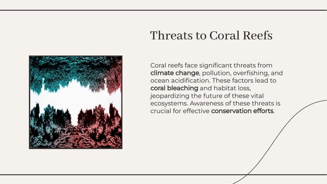 coral reef ecosystem and types of coral reefs | PPT
