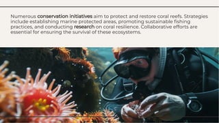 coral reef ecosystem and types of coral reefs | PDF