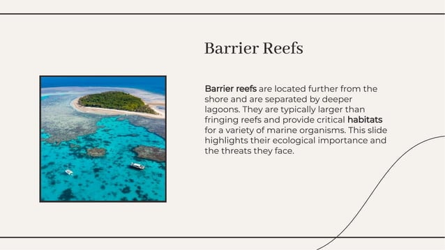 coral reef ecosystem and types of coral reefs | PPT