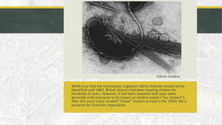 John snow cholera outbreak | PPTX