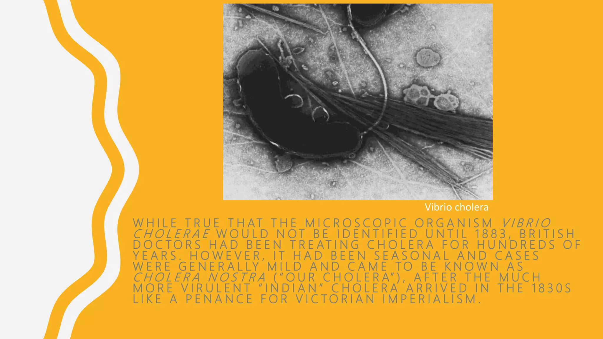 John Snow cholera outbreak of 1854 | PPTX