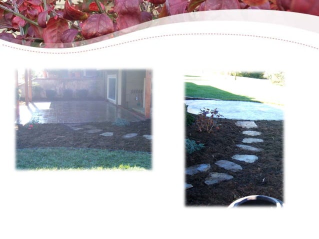 Johnson Landscape Norris | PDF