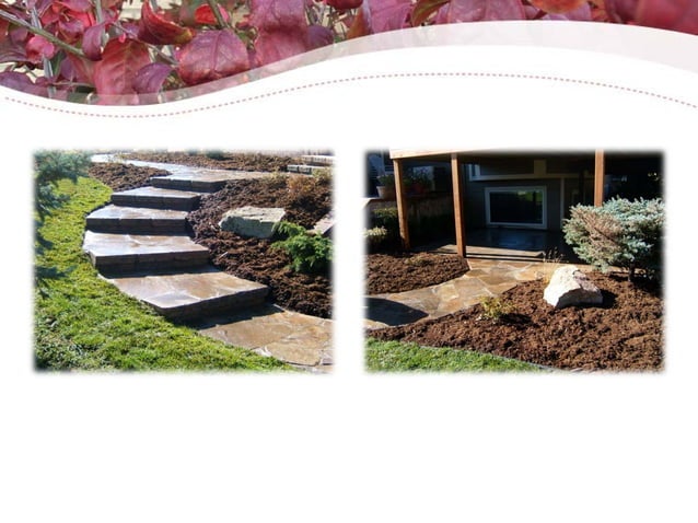 Johnson Landscape Norris | PDF