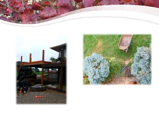 Johnson Landscape Norris | PDF