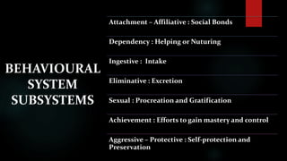 Johnson's behaviour model.pdf
