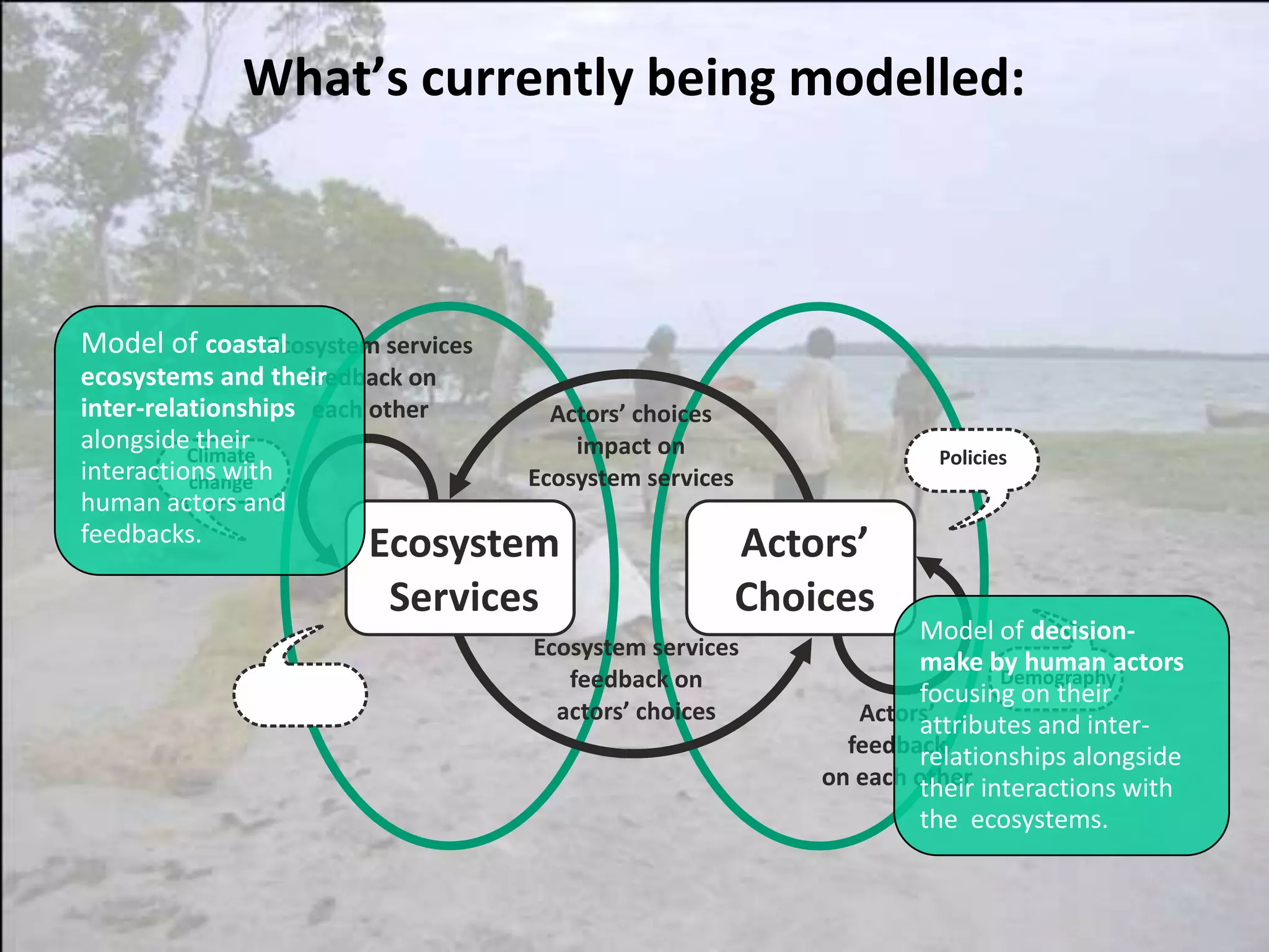 A transdisciplinary approach to understanding complex social problems ...