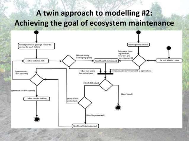 A transdisciplinary approach to understanding complex social problems in coastal ecosystem. By ...