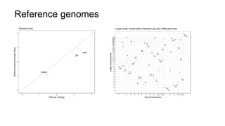 Genomics in animal breeding from the perspectives of matrices and ...