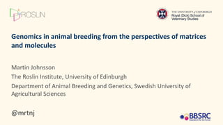 Genomics in animal breeding from the perspectives of matrices and ...