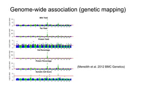 Genomics in animal breeding from the perspectives of matrices and ...