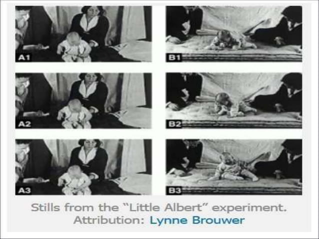 John watson learning theory | PPTX