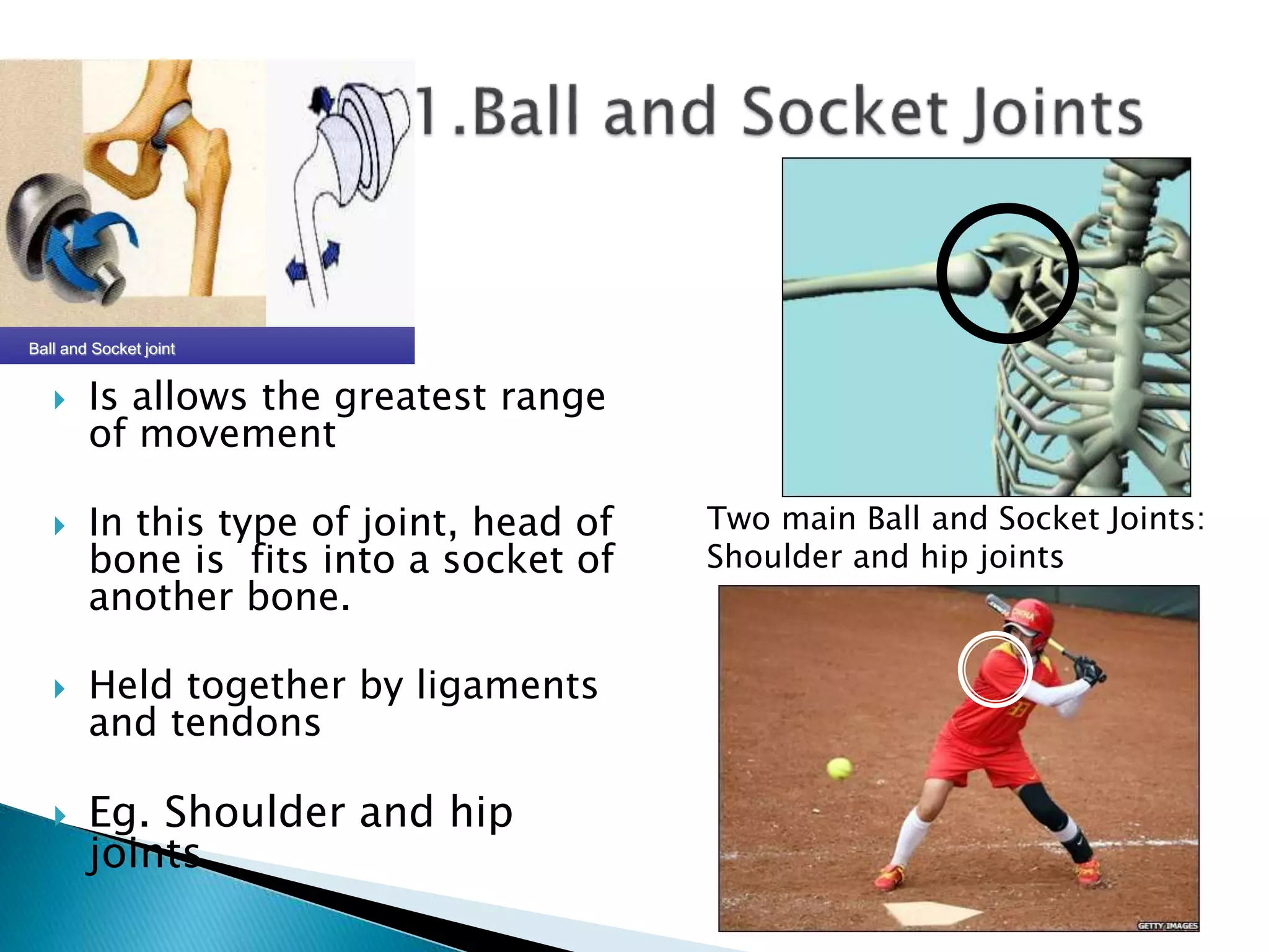 ppt on Joint | PPTX