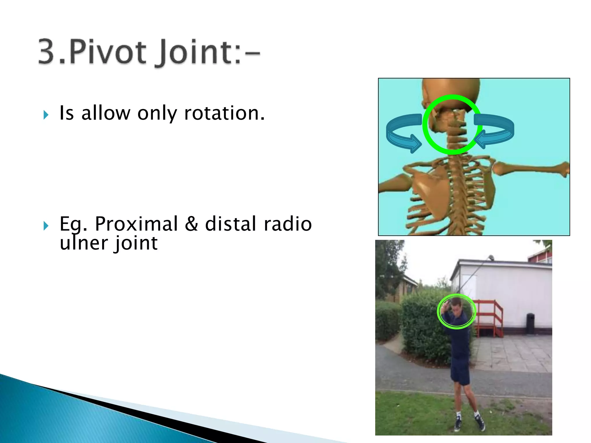ppt on Joint | PPTX