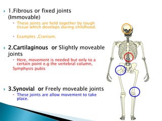 Fixed Joint Examples