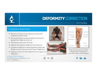 Osteo-Arthritis Information Booklet | PDF
