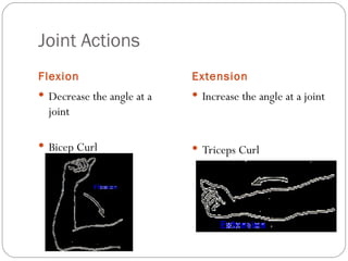 Joint actions | PPT