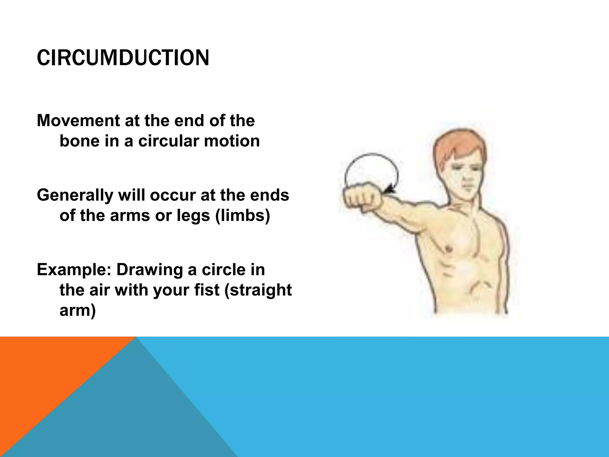 Joint actions and movement | PPTX