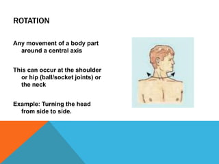 Joint actions and movement | PPTX