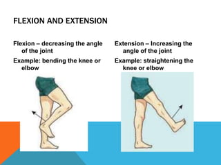 Extension Movement