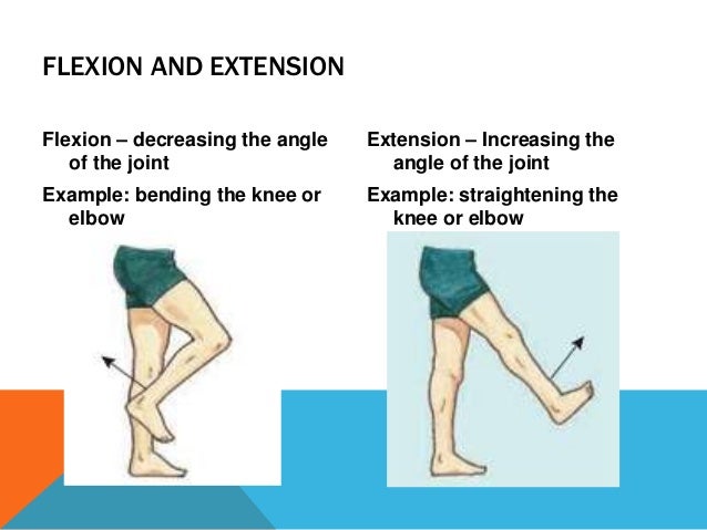 Joint actions and movement