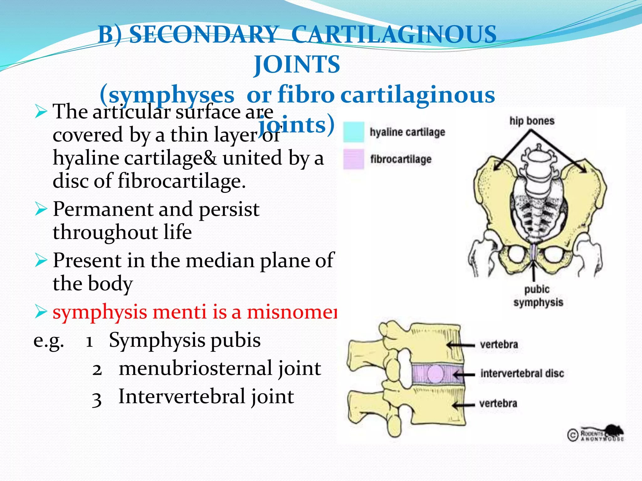Joints anatomy and physiology | PPTX | Death, Injury, or Military ...