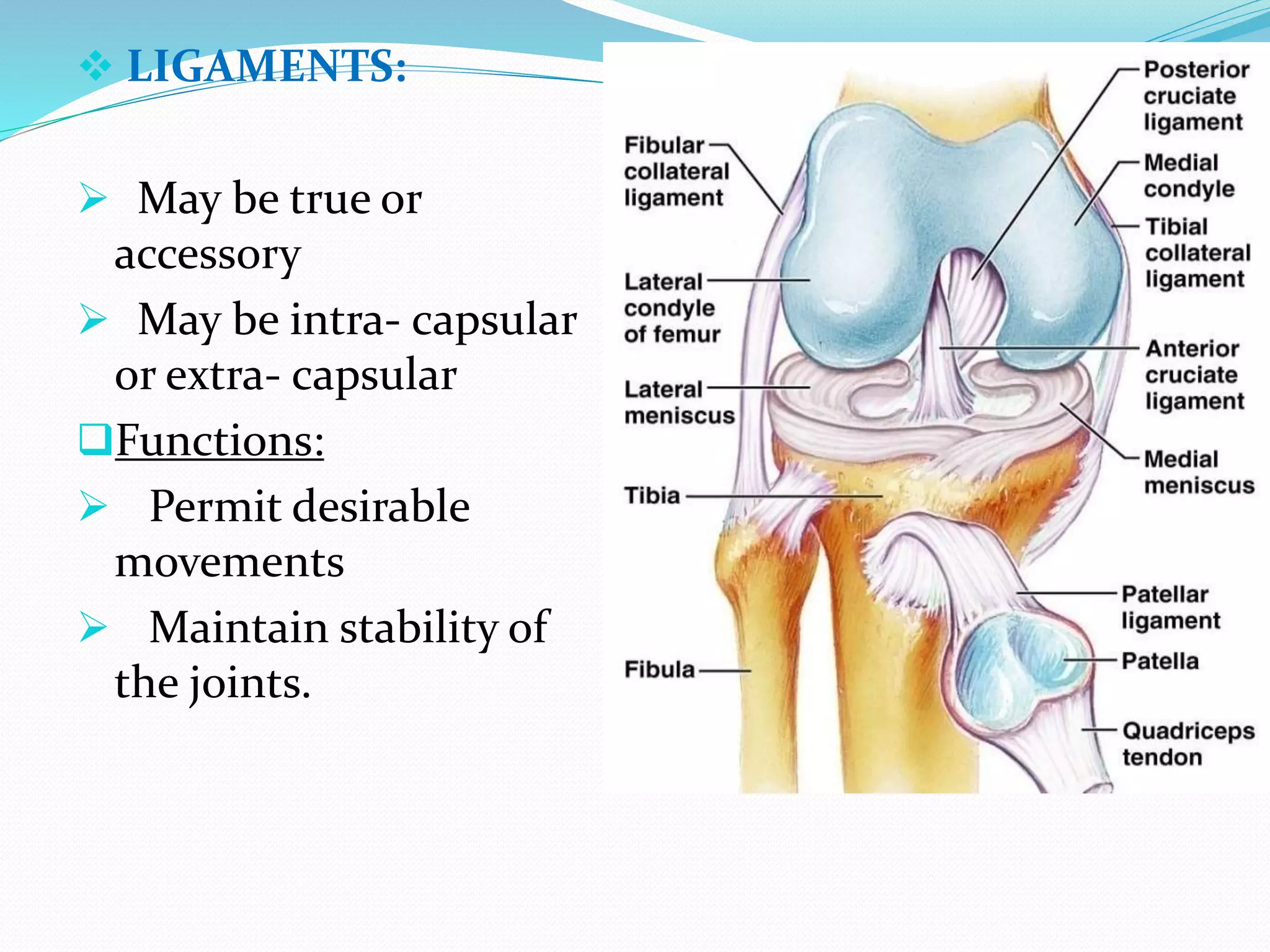 Joints anatomy and physiology | PPTX | Death, Injury, or Military ...