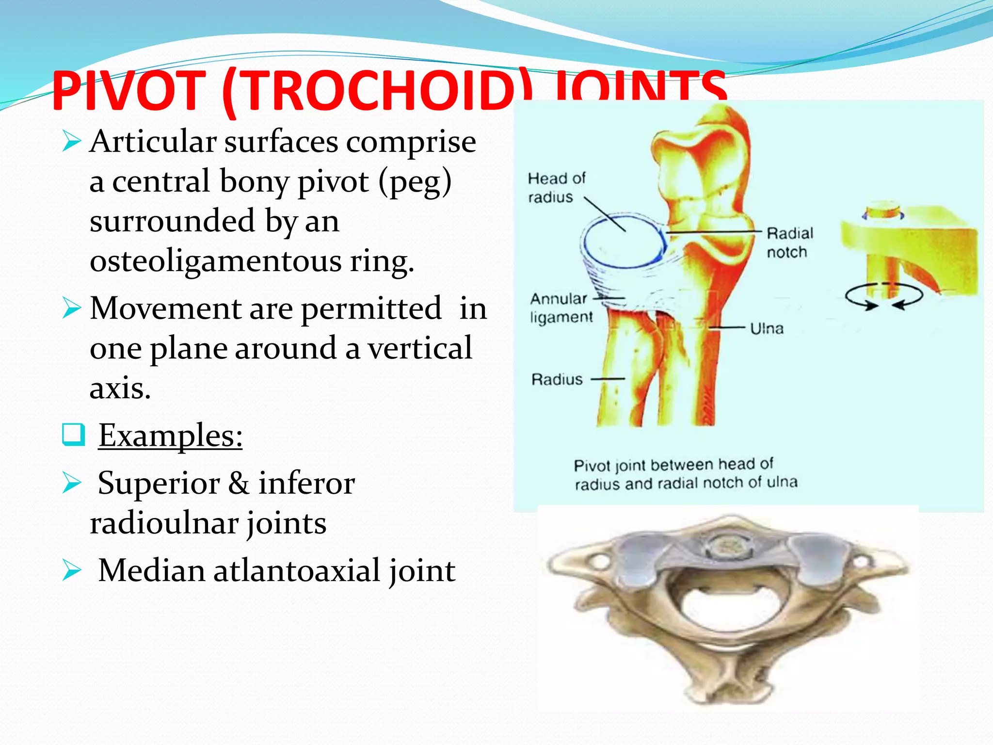 Joints anatomy and physiology | PPTX | Death, Injury, or Military ...